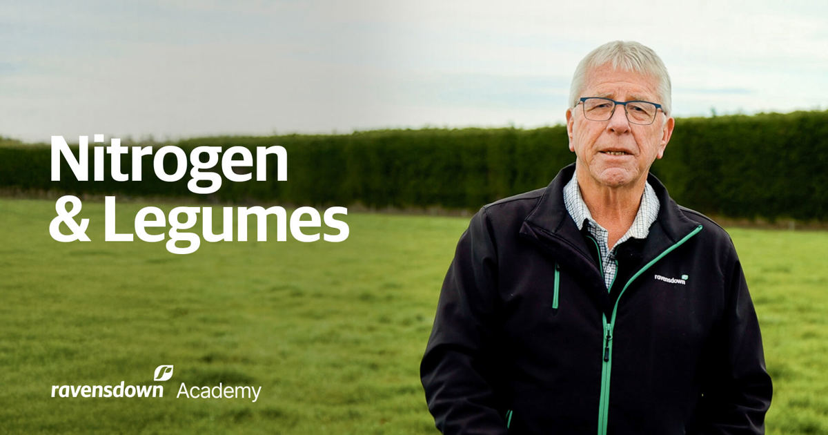 Ravensdown | Why Are Legumes So Important for Supplying Nitrogen?