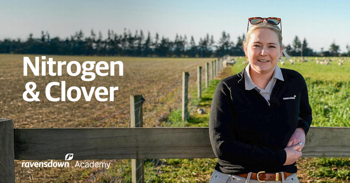 Ravensdown | Nitrogen in Pastures: Balancing Clover Fixation and ...