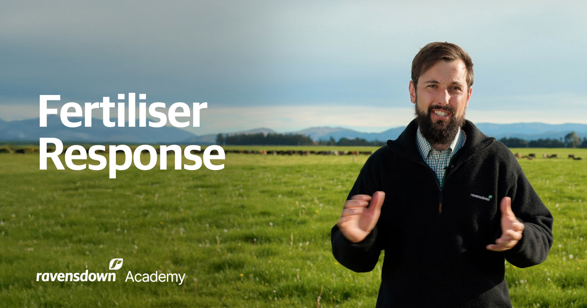 Ravensdown | How Much Fertiliser Do You Need? Understanding Fertiliser ...