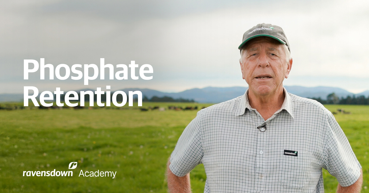 Ravensdown | Does High Phosphate Retention Lock Up Fertiliser? The ...