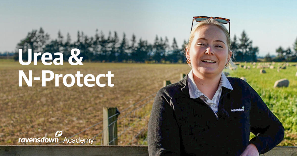 Ravensdown | What Is N-Protect? Making Urea Work Better for Farms and ...